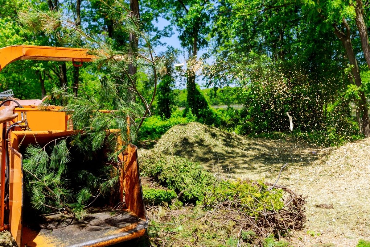 Stump Grinding Brisbane | Stump & Root Grinding and Removal